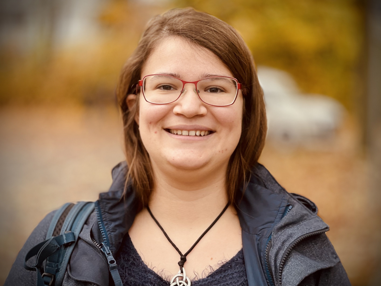 Galerie Erfolgserlebnisse | wahlidrive.ch